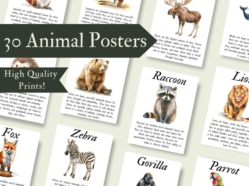30 Educational Posters, Wild Animal Drawing, Watercolor Drawing ...