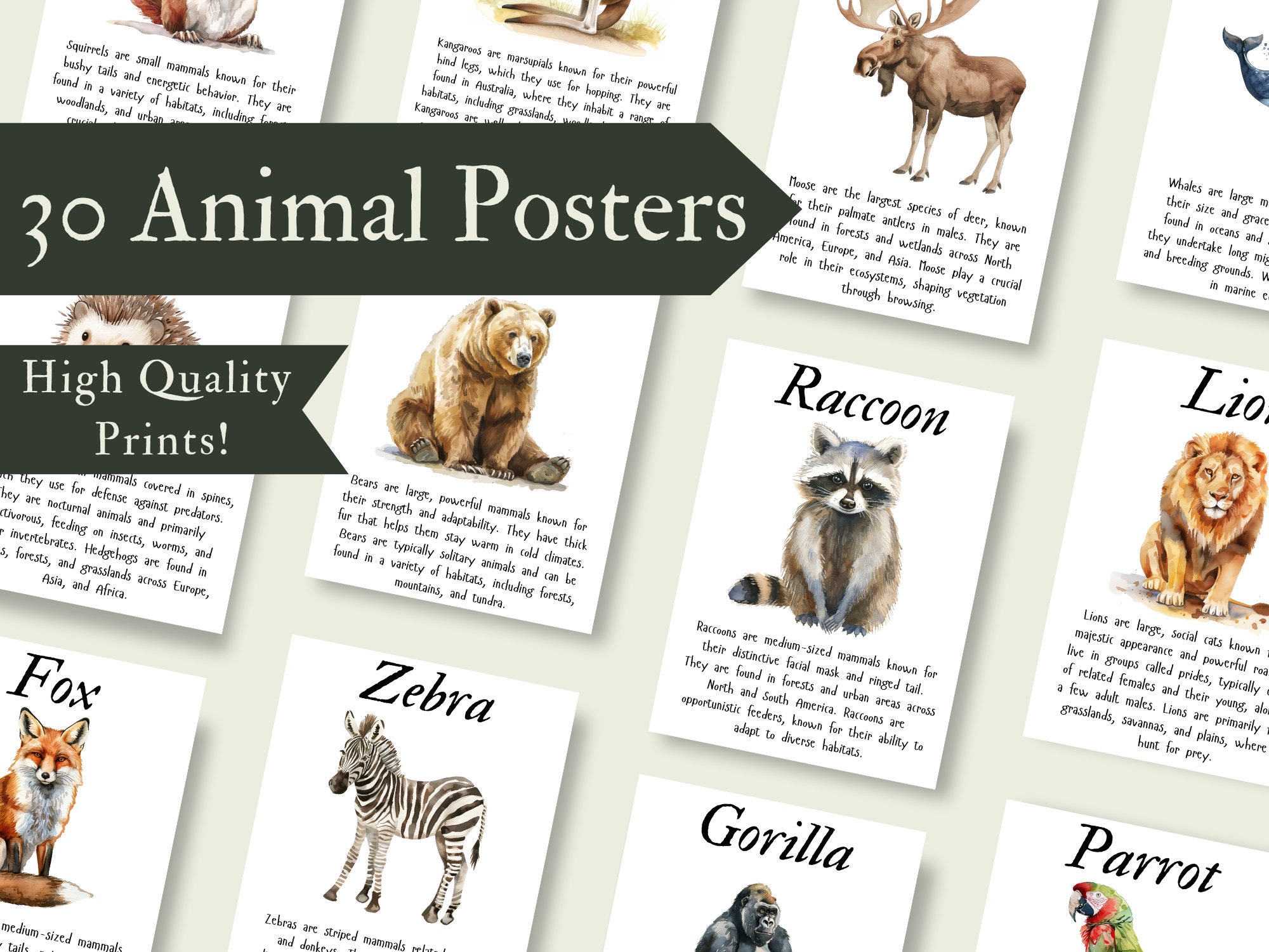 30 Educational Posters, Wild Animal Drawing, Watercolor Drawing ...