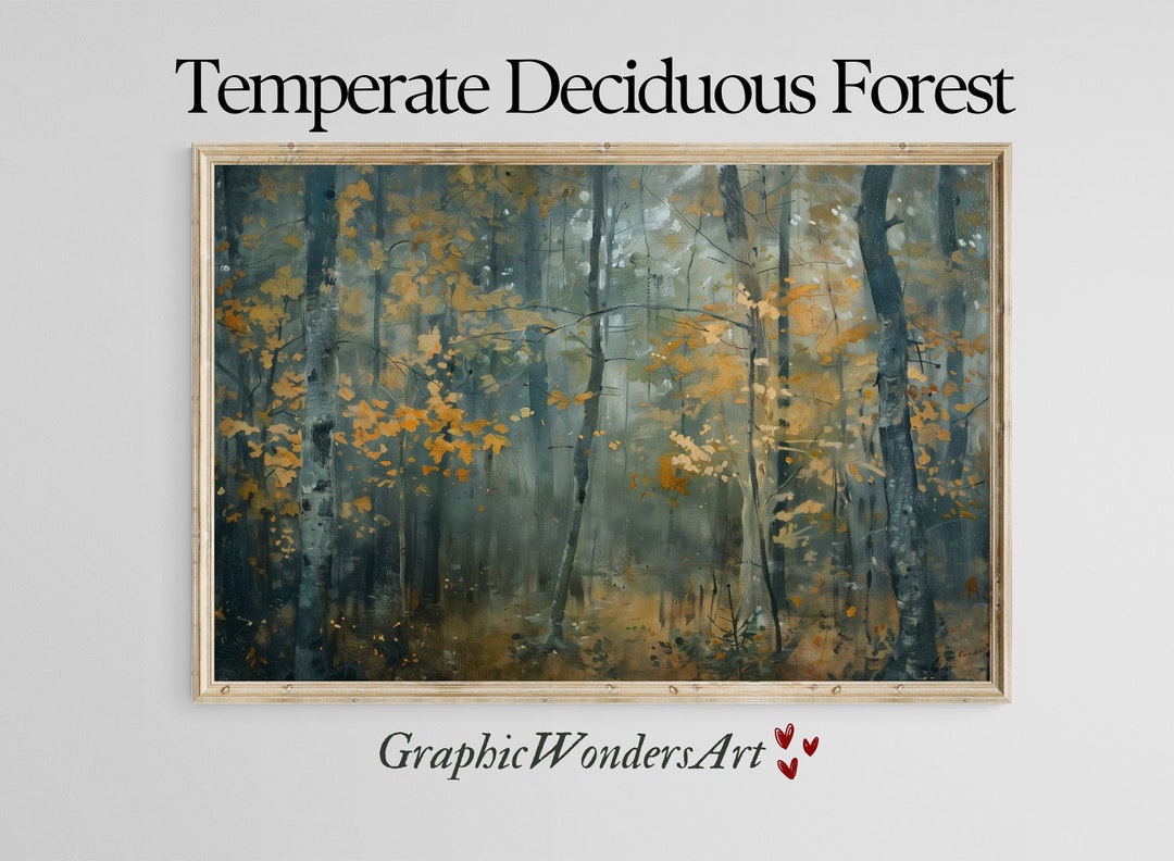 Temperate Deciduous Forest Painting Nature Drawing, Environmental Art ...