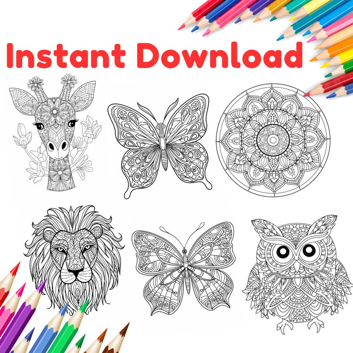 208 Animal Mandala Coloring Pages: Butterfly, Owl, Elephant (A4 Digital ...