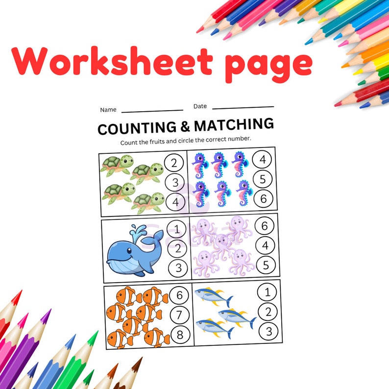 Counting and Matching Activity: 25 Summer Worksheets (digital Download ...