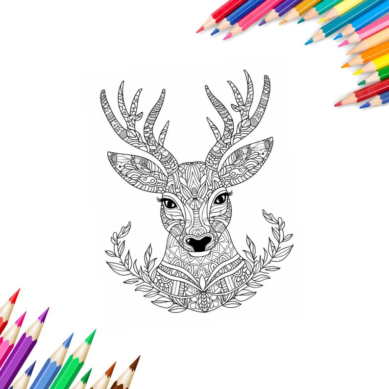 208 Animal Mandala Coloring Pages: Butterfly, Owl, Elephant (A4 Digital ...