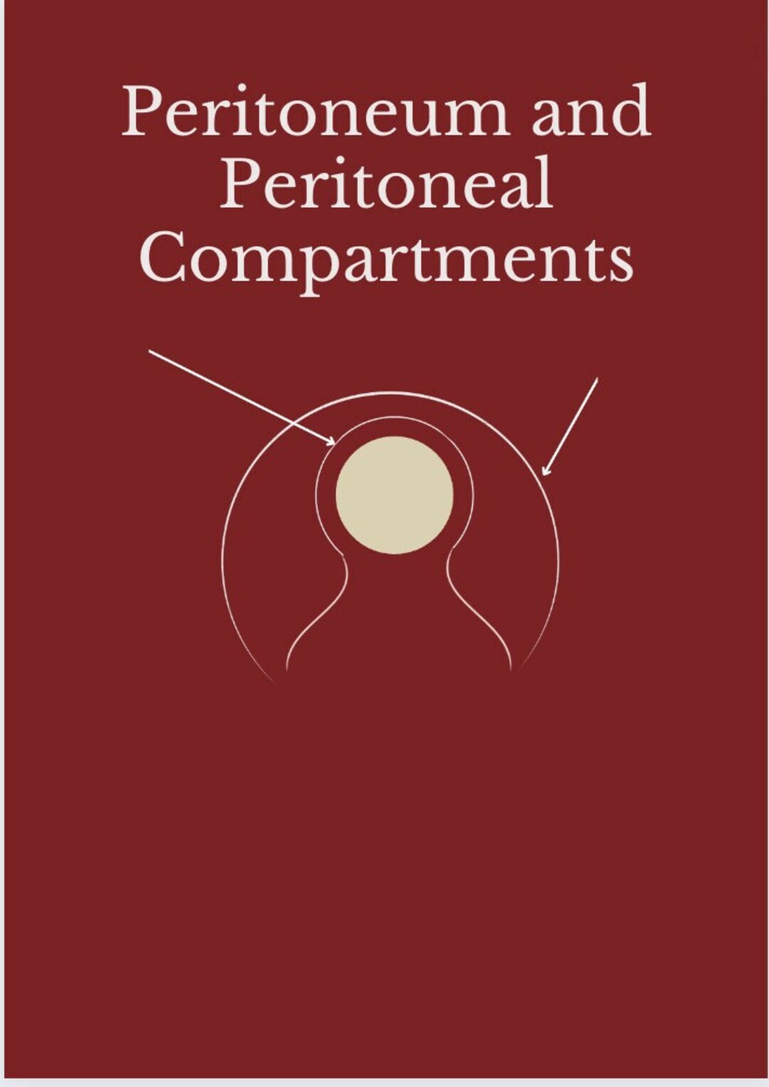 Peritoneum and Peritoneal Compartments PDF - Etsy