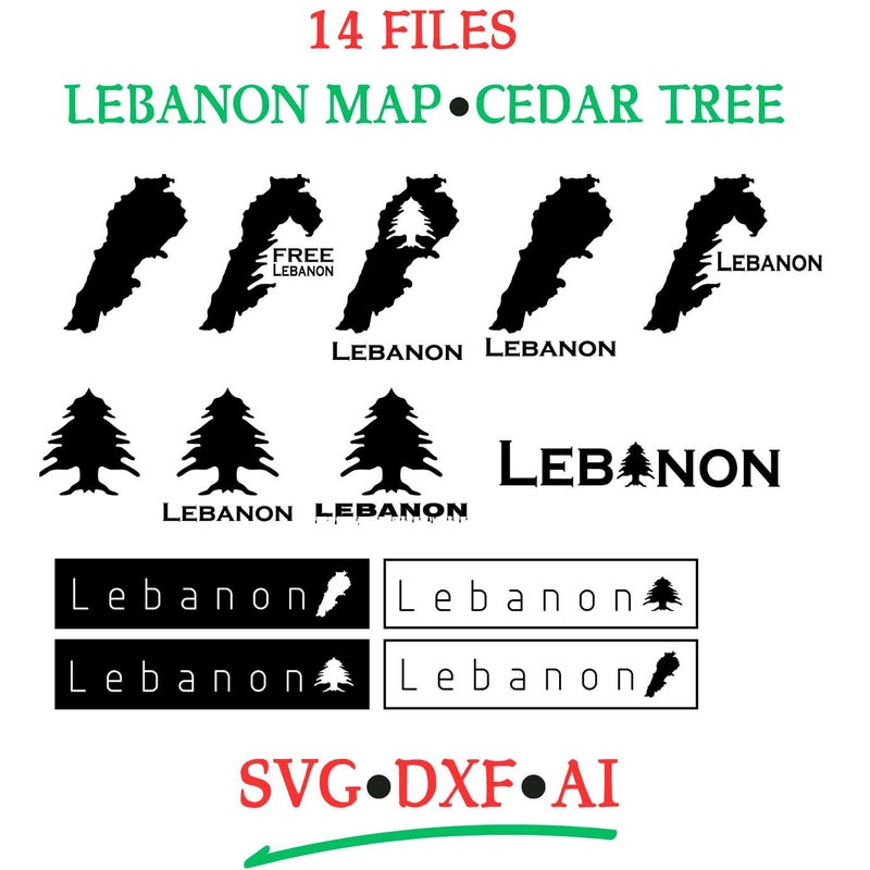 Cedar of Lebanon - Etsy