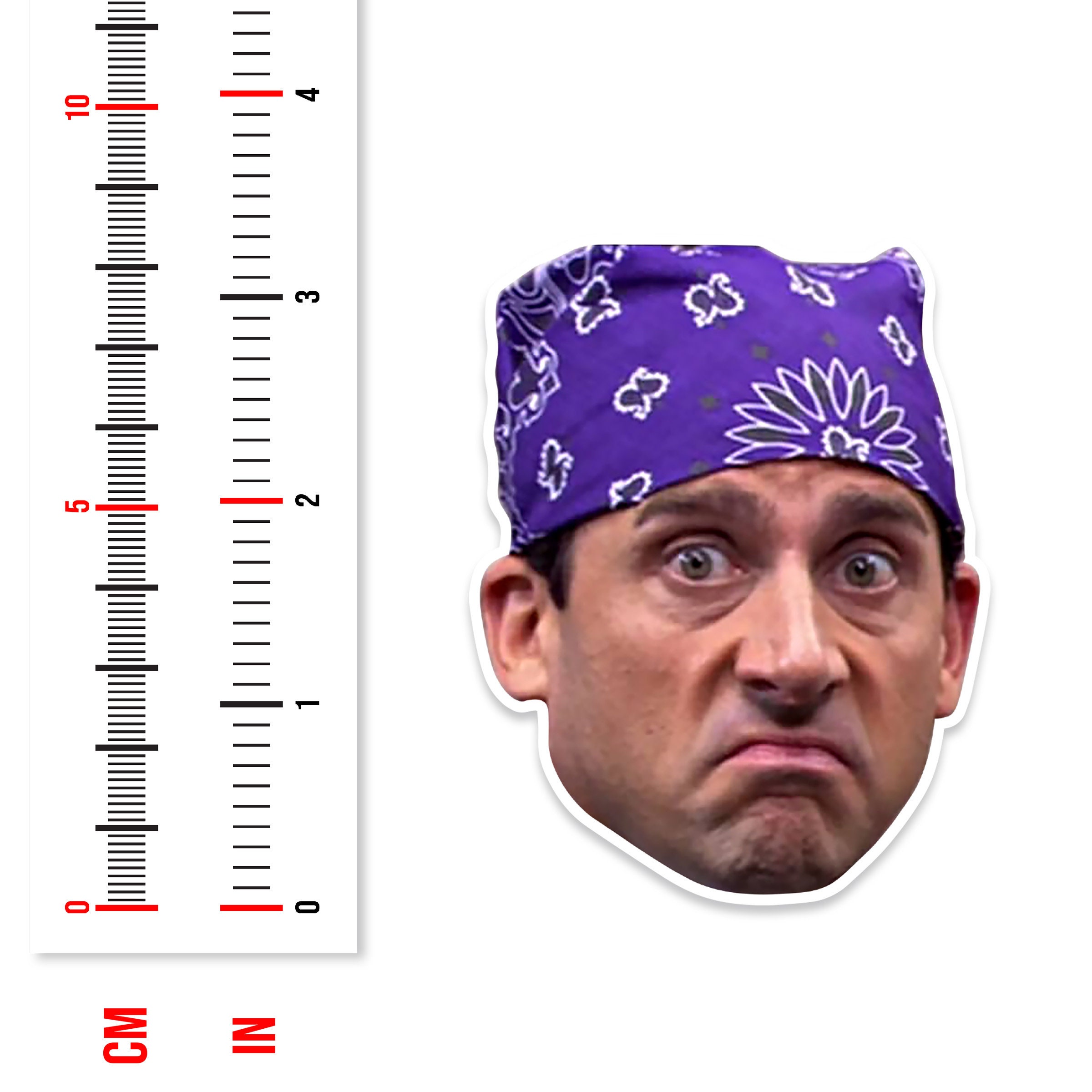 Prison Mike Face Sticker, Schrute Farms, Water Bottle Sticker, Funny TV ...