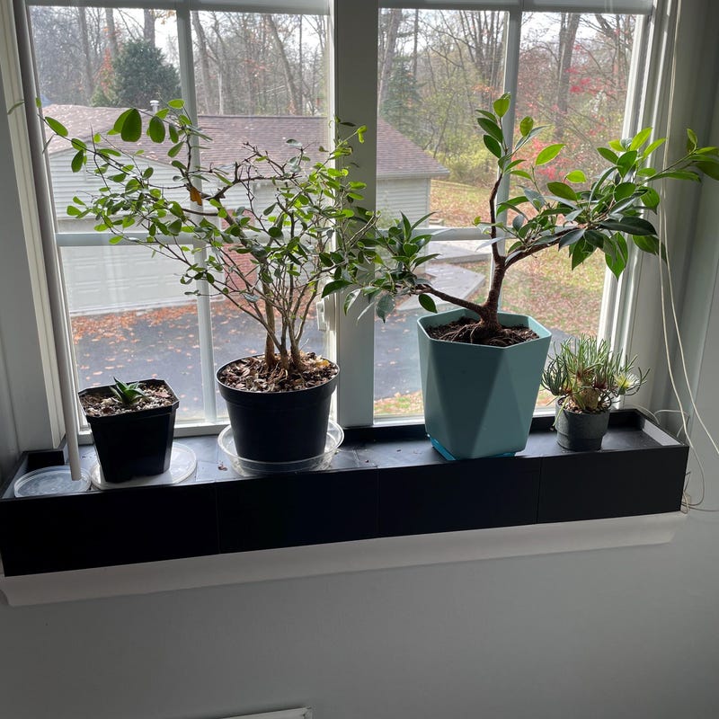 Plant Shelf Window - Etsy