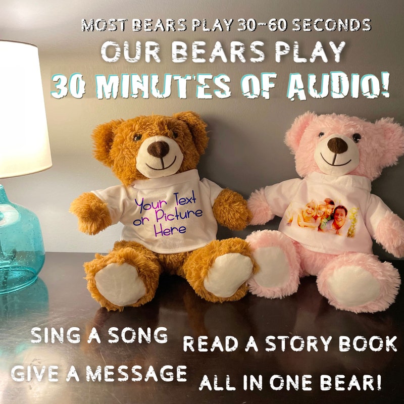 Teddy Bear With Recording Voice - Etsy