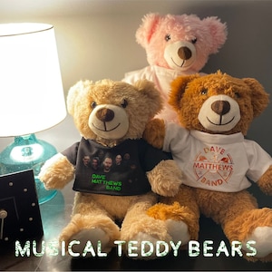 Music Teddy Bear | Personalized Multi-track MP3 Music Player | up to 30 ...