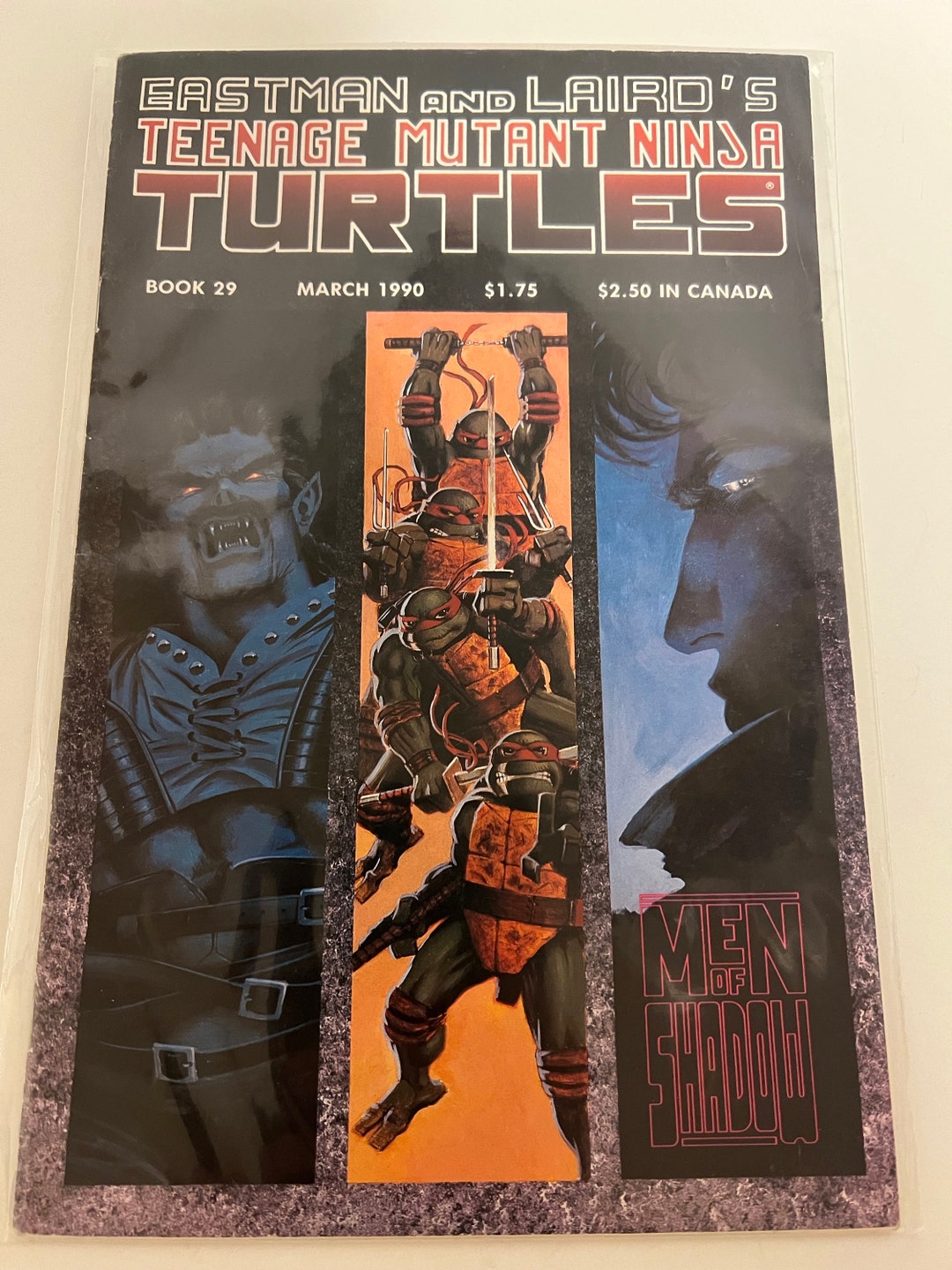 Teenage Mutant Ninja Turtles #29 A.C. Farley TMNT Mirage Studios 1990 ...