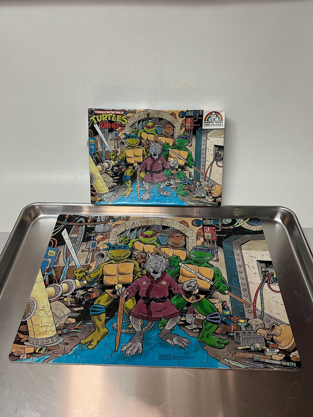 Teenage Mutant Ninja Turtles Random House Vintage Splinter 100 Pc ...