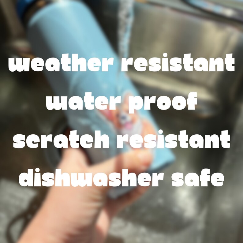 Tortoise Sticker, Waterproof Funny Gifts Water Bottle Laptop Funny ...