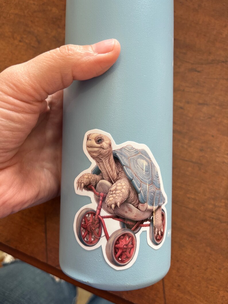 Tortoise on a Tricycle Sticker, Waterproof Funny Gifts Stickers for ...