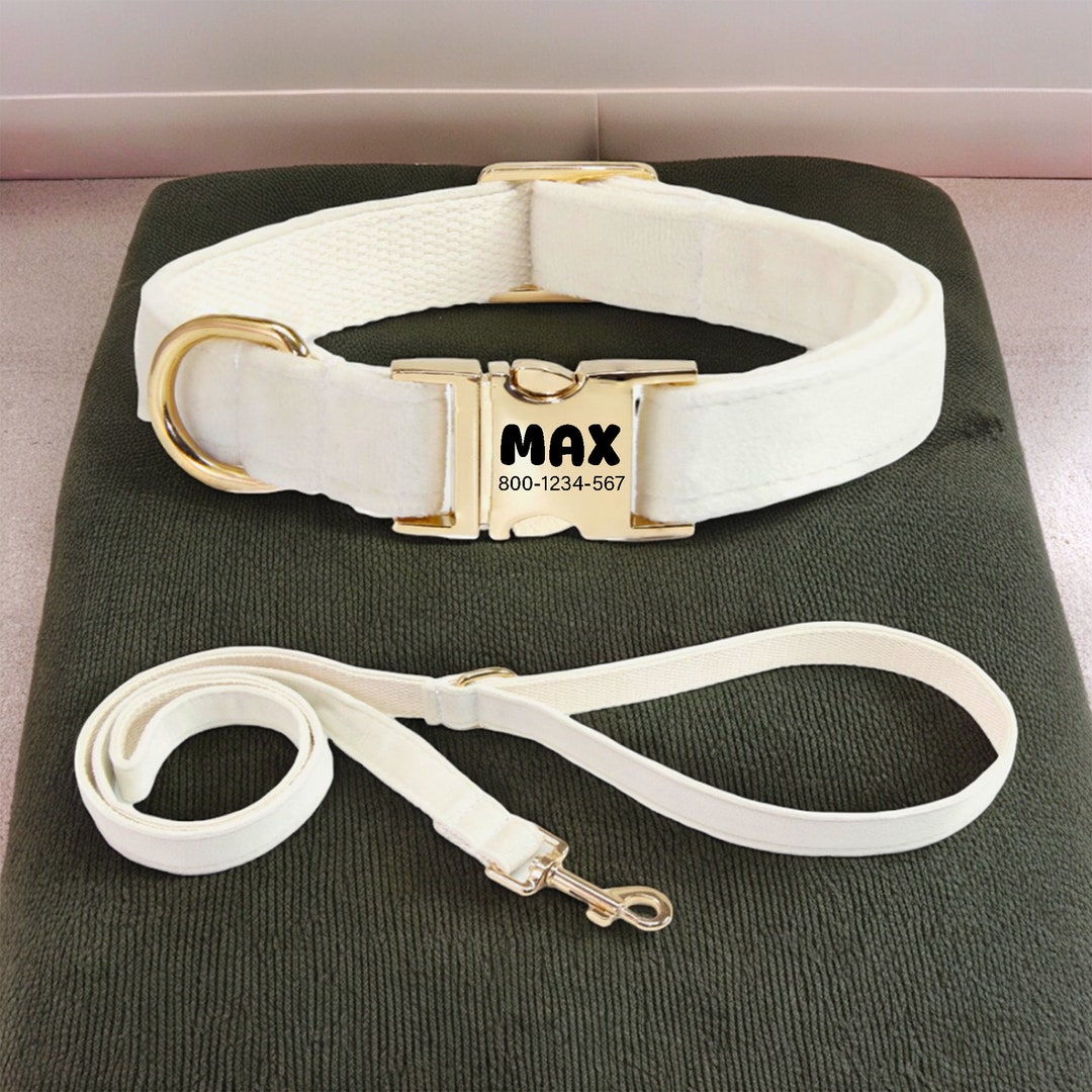 Personalized Dog Collar Leash Set, Engraved Pet Name Plate, Engraved ...