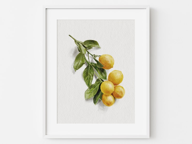 Lemon Wall Art Print, Lemon Print, Kitchen Prints, Home Decor ...