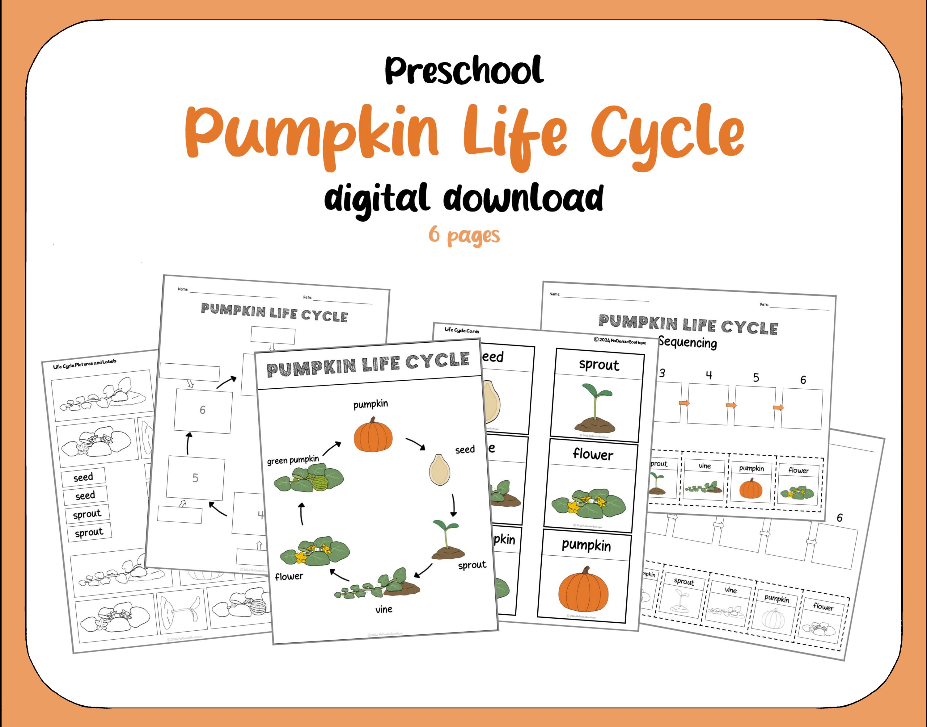 Pumpkin Life Cycle Set - Etsy