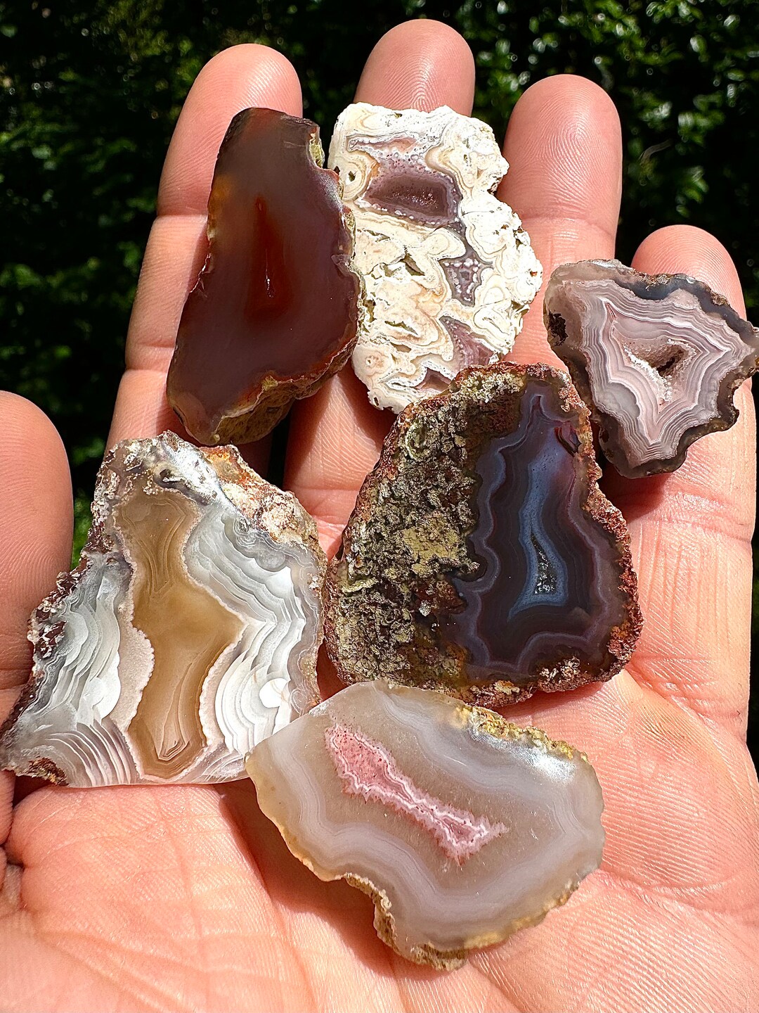6 Small Polished Laguna Agates Variety Pack - Etsy