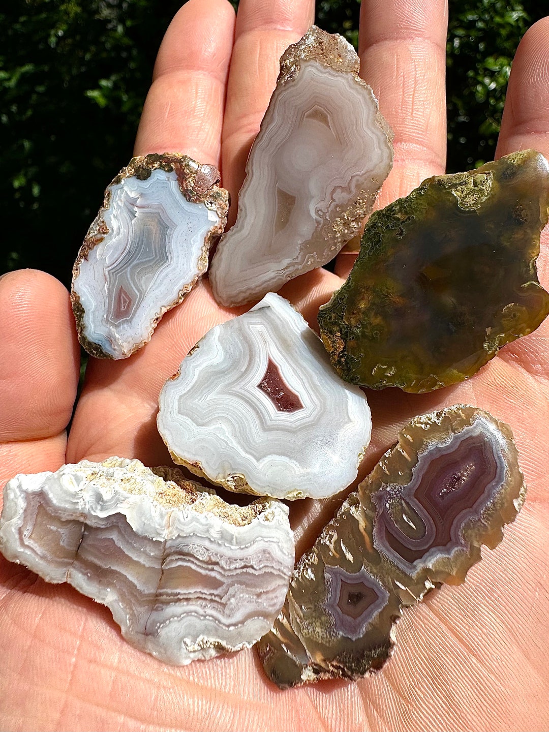 6 Small Polished Laguna Agates Variety Pack - Etsy