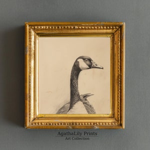 PRINTABLE Fall Duck Sketch Neutral French Country Art Print Minimalist ...