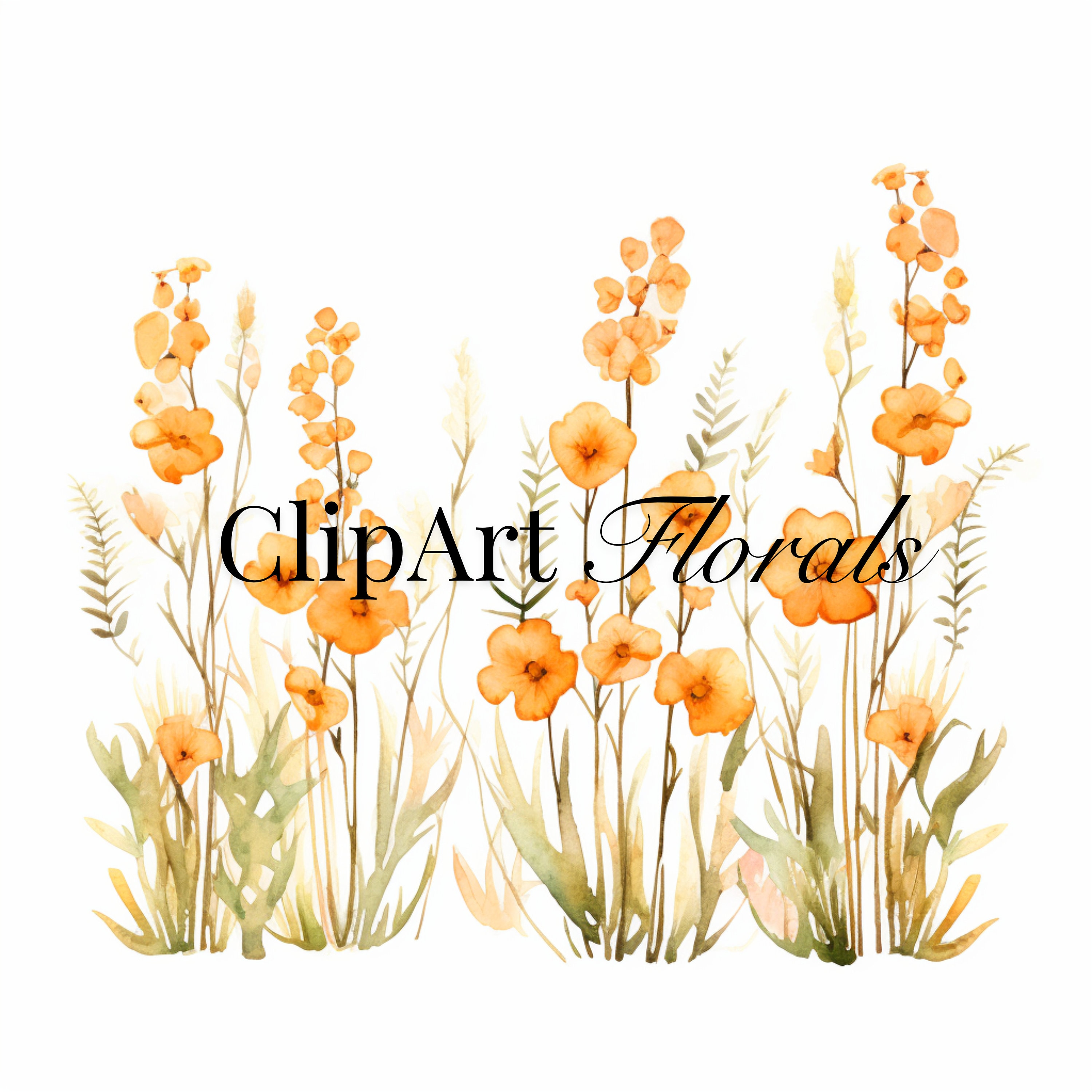 Beautiful Orange Watercolor Floral Clipart Set for Wedding Cards ...