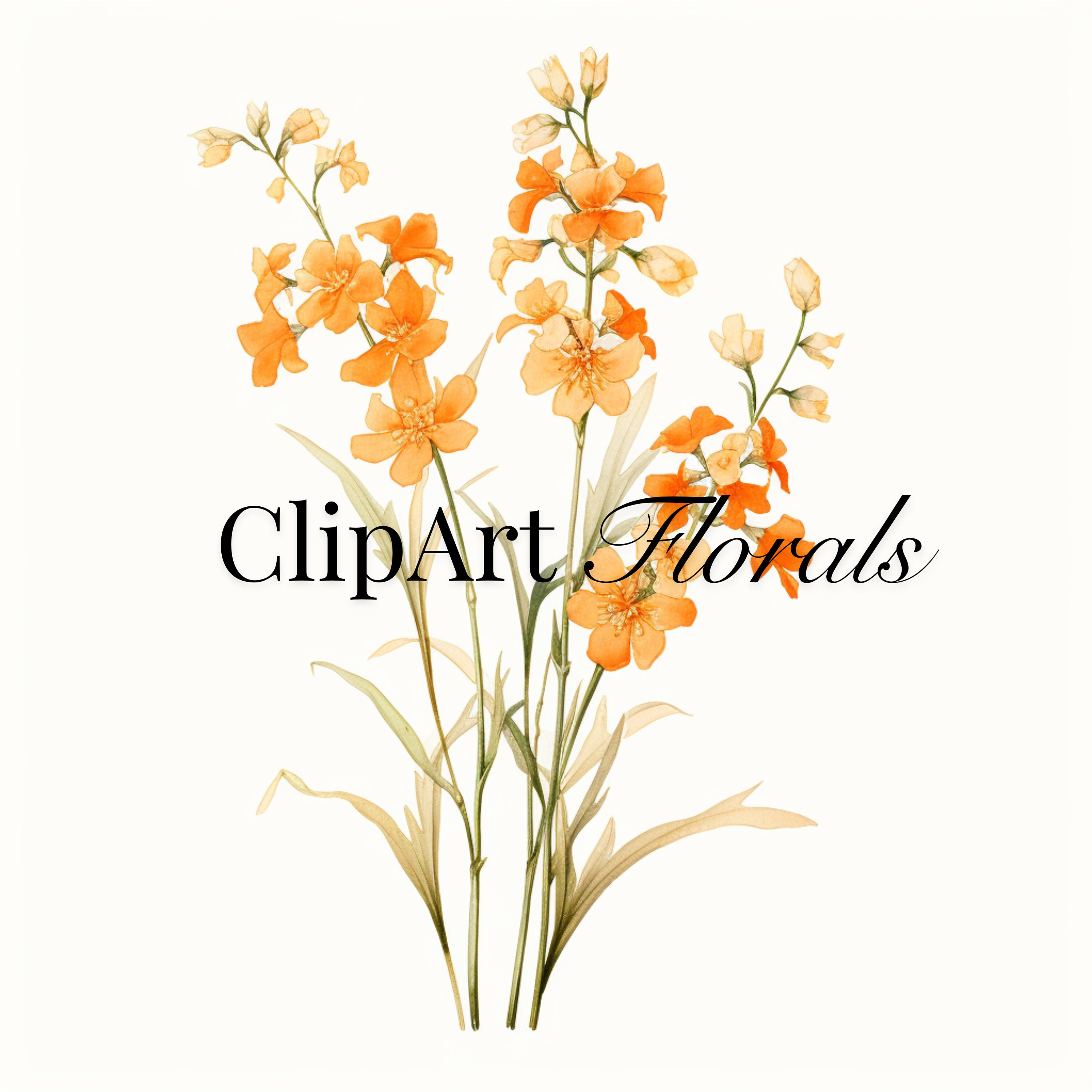 Beautiful Orange Watercolor Floral Clipart Set - for Wedding Cards ...