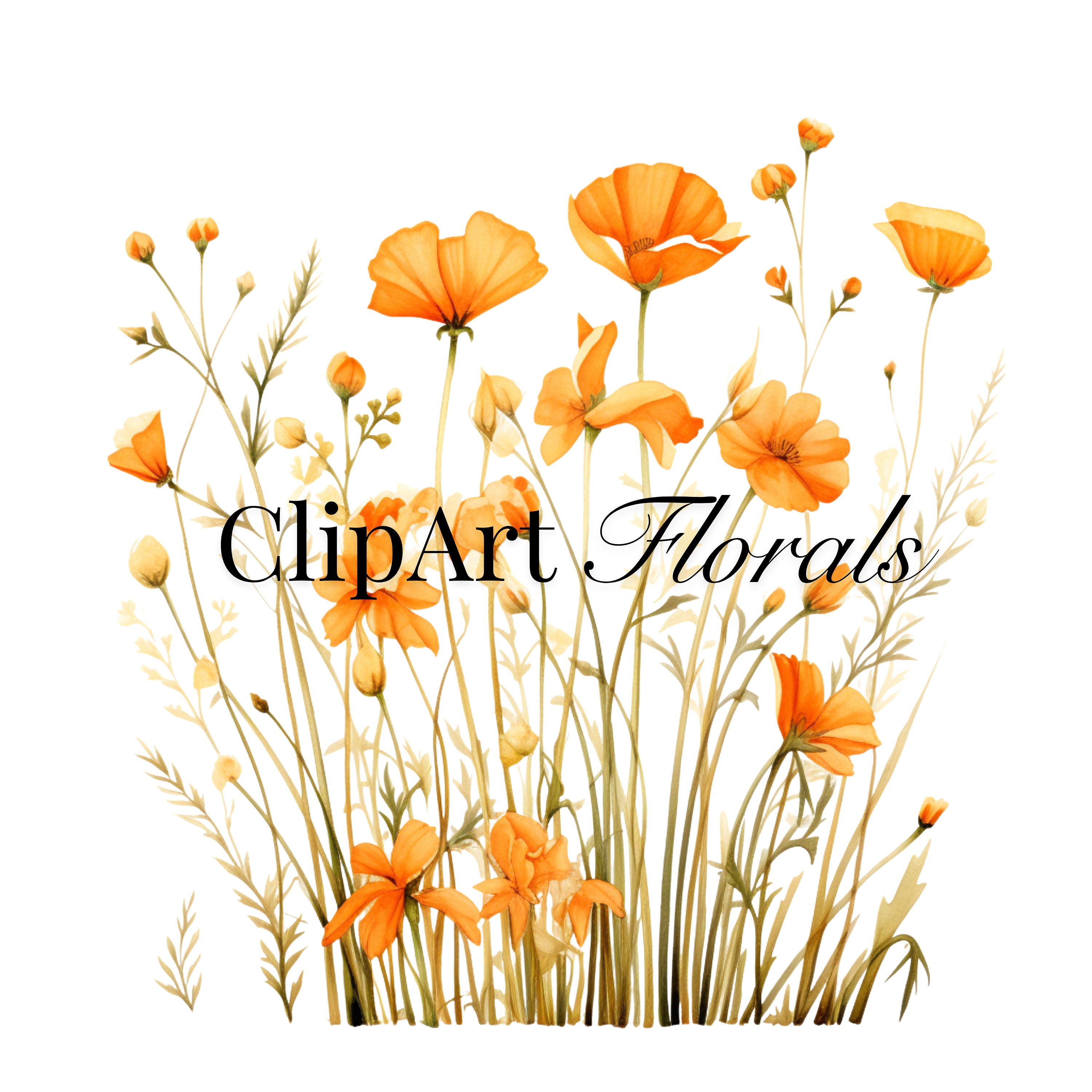 Beautiful Orange Watercolor Floral Clipart Set - for Wedding Cards ...