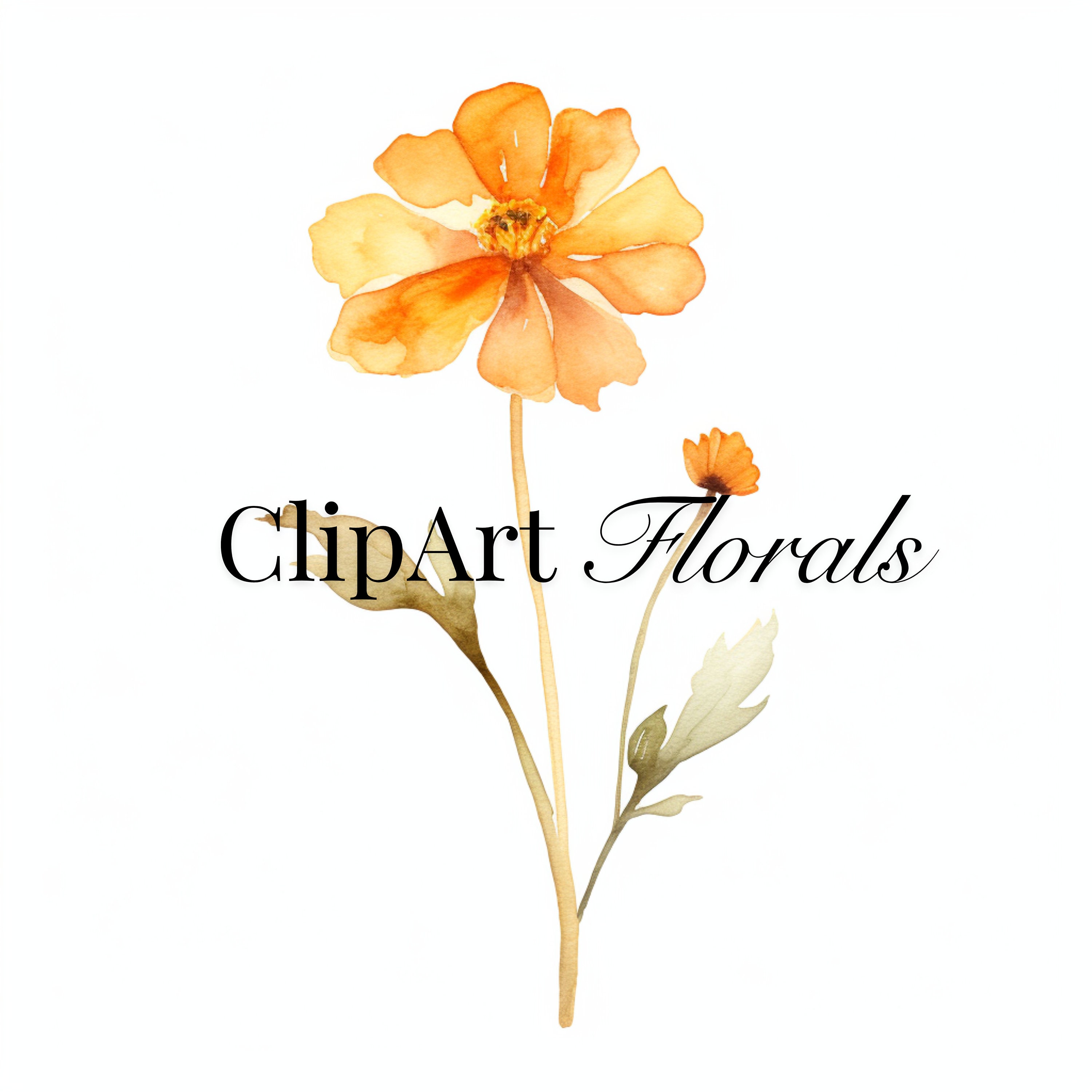 Beautiful Orange Watercolor Floral Clipart Set - for Wedding Cards ...