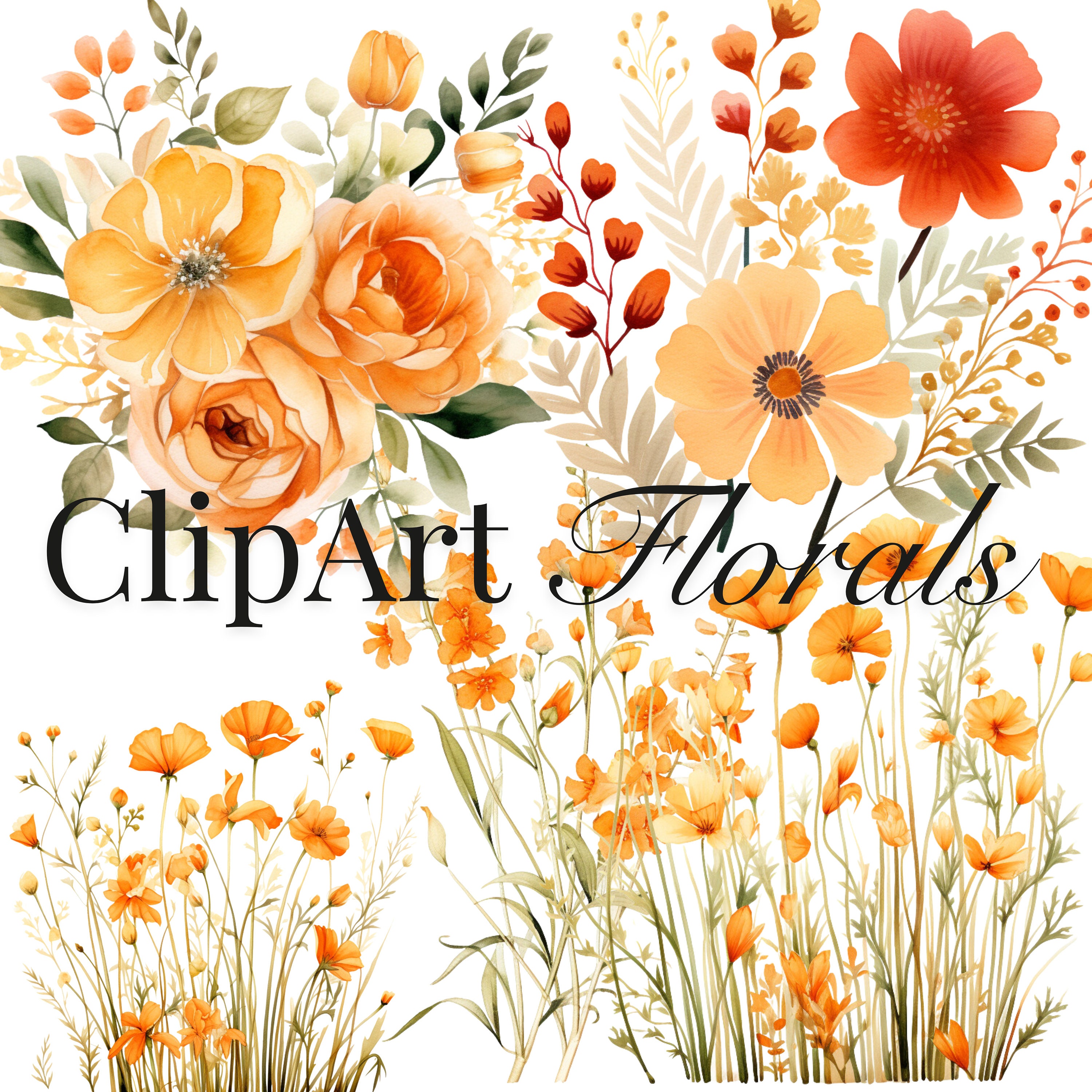 Beautiful Orange Watercolor Floral Clipart Set - for Wedding Cards ...