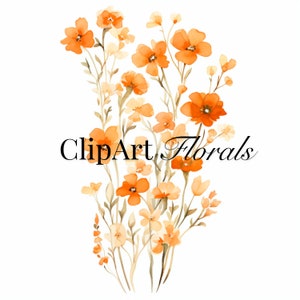 Beautiful Orange Watercolor Floral Clipart Set - for Wedding Cards ...