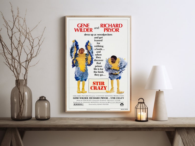 Stir Crazy Movie Poster 2024 Film Poster Gift/vintage Poster Room Decor ...
