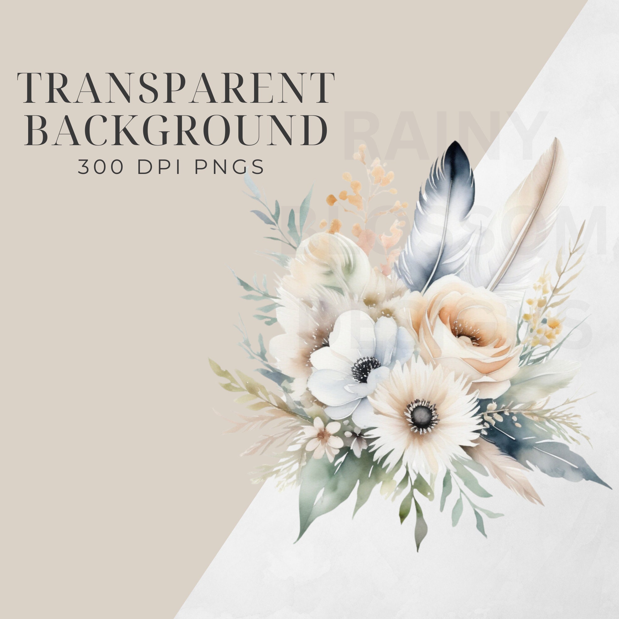 Creamy Rose Clipart, Commercial Clipart, Wedding Flowers Clipart, Boho ...