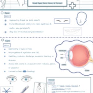 HEENT Assessment - Etsy