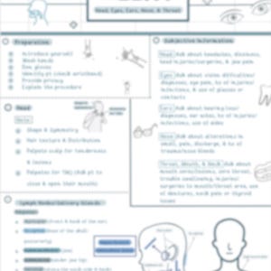 HEENT Assessment - Etsy