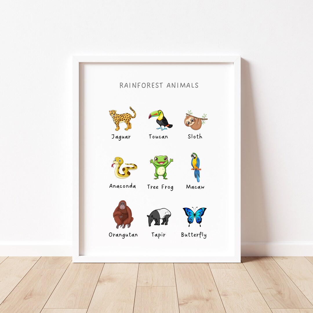 Animal Kingdom Rainforest Animals Poster for Speech Therapy Office ...
