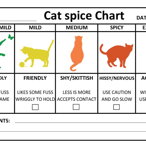 Spice Chart - Etsy