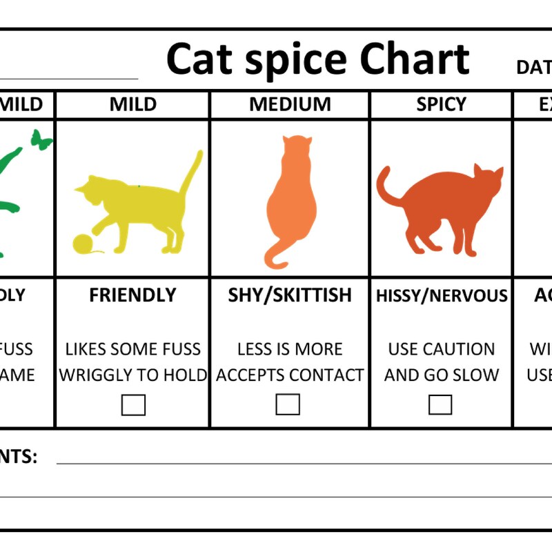 Veterinary Art - Etsy