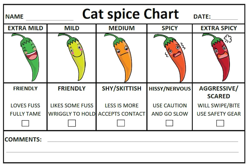 Cat Spice Chart,dog Spice Chart ,veterinary ,veterinary Shop,cat and ...