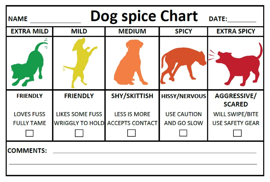 Dog Spice Chart,veterinary,spice Chart for Dog ,veterinary Shop,dog ...