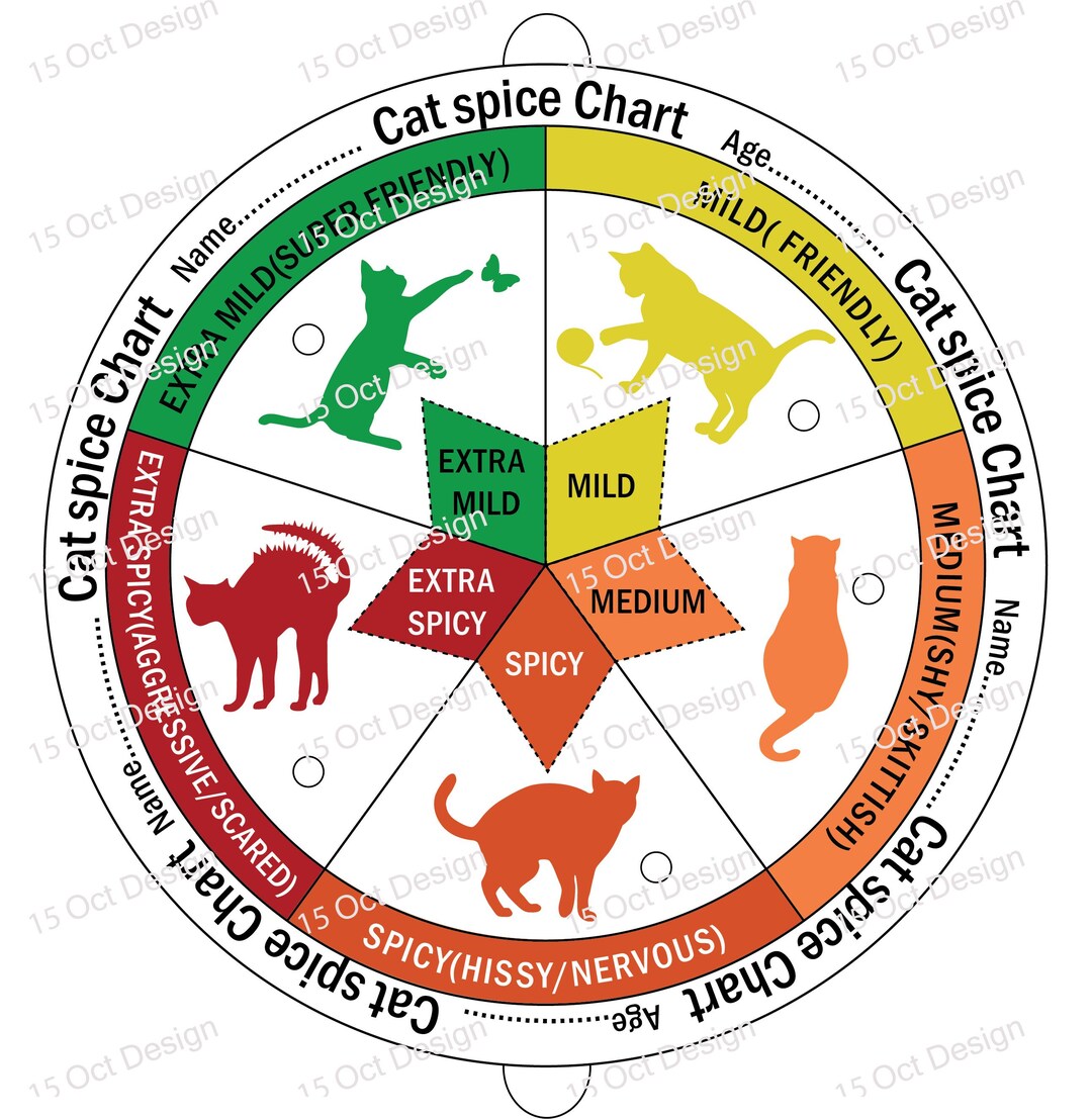 Cat Spice Chart,veterinary,spice Chart for Cat ,cat Lover,cat Chart ...