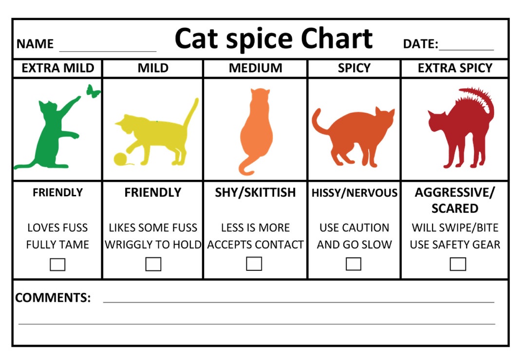 Cat Spice Chart,veterinary,spice Chart for Cat ,veterinary Shop,cat ...