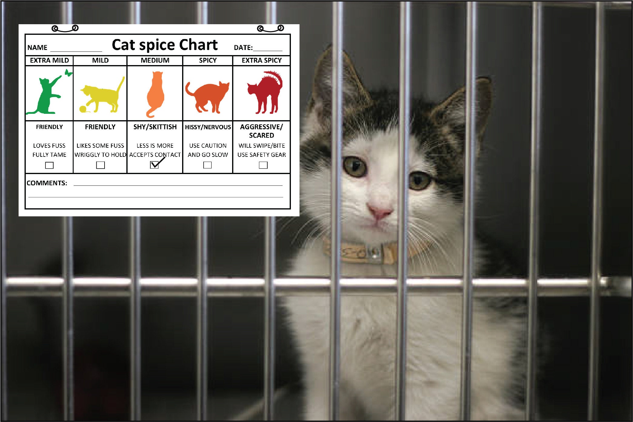 Cat Temperament Chart for Veterinary Clinics (digital Download) - Etsy