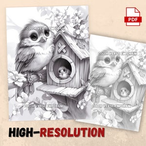 Charming Birds Coloring Book Printable Cozy Birdhouse Coloring Pages ...