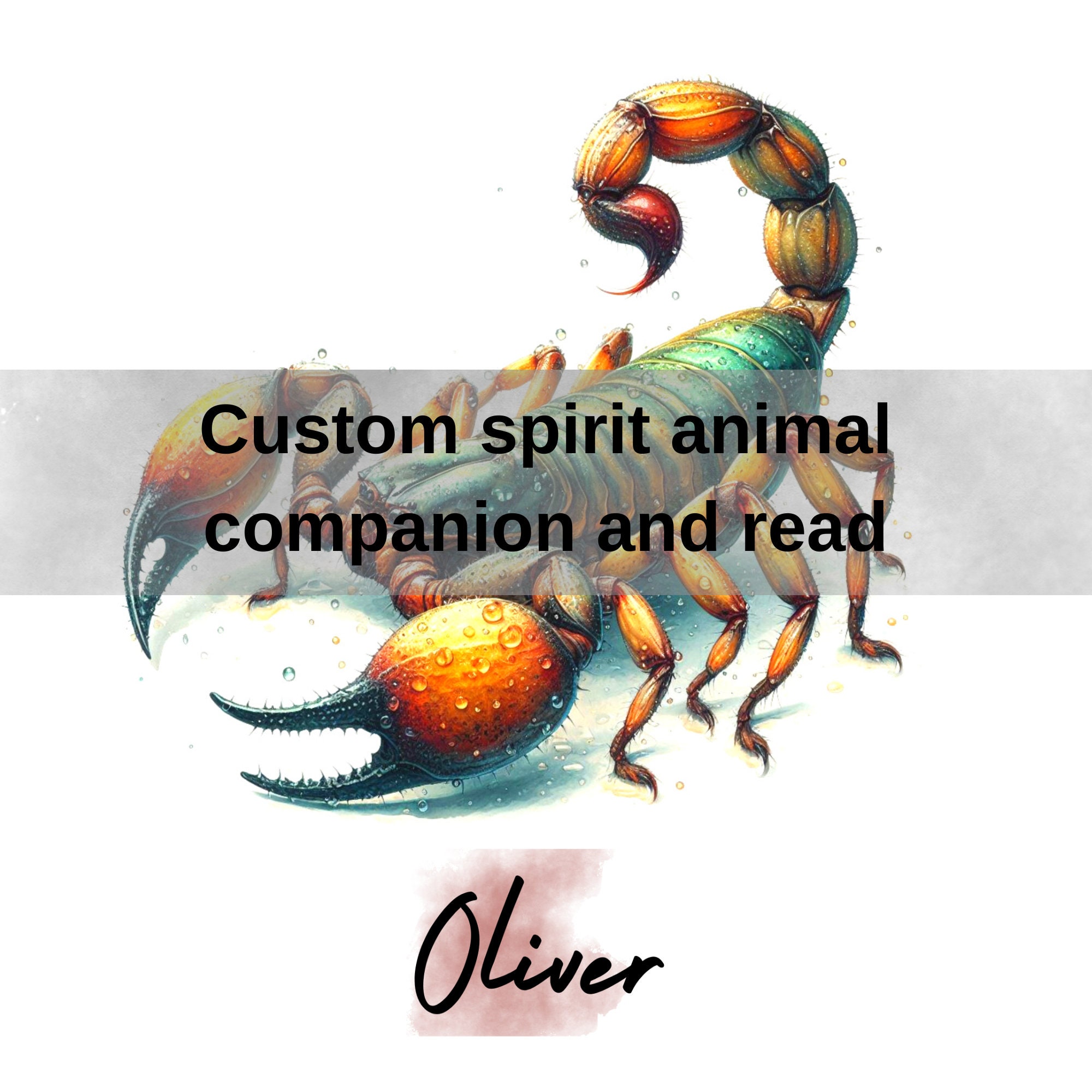 Custom Spirit Companion Drawing, Spiritual Reading, Spirit Animal ...