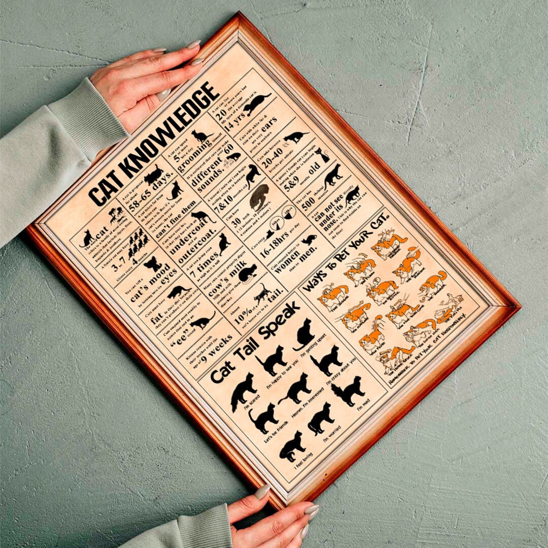 Cat Knowledge Poster, Poster Cat, Cat Canvas, Cat Lover, Cat Knowledge ...