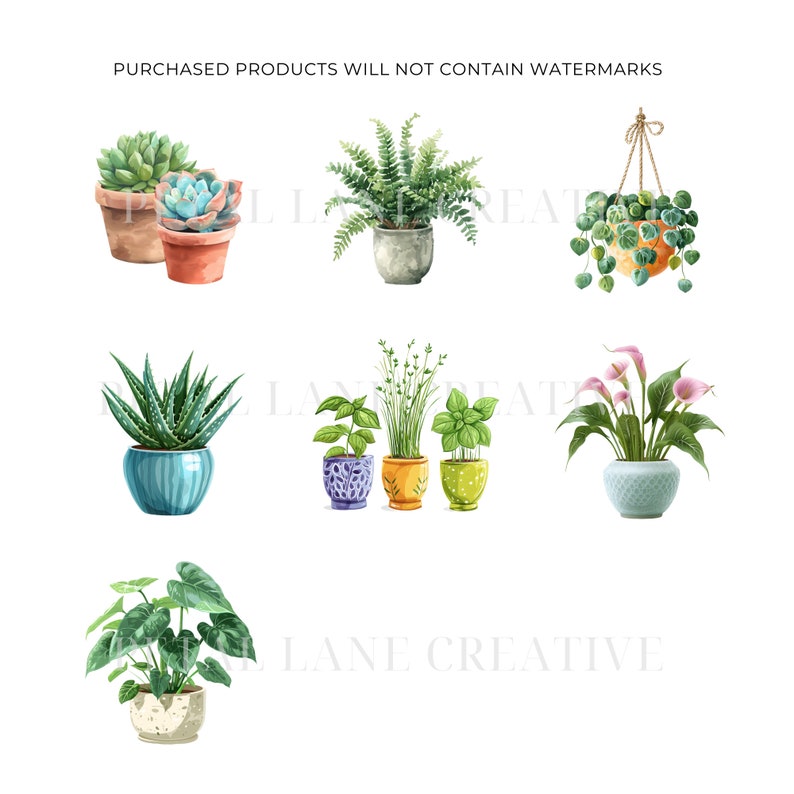 Pretty Plants Commercial Use Clipart, Great for Gardening Journals ...