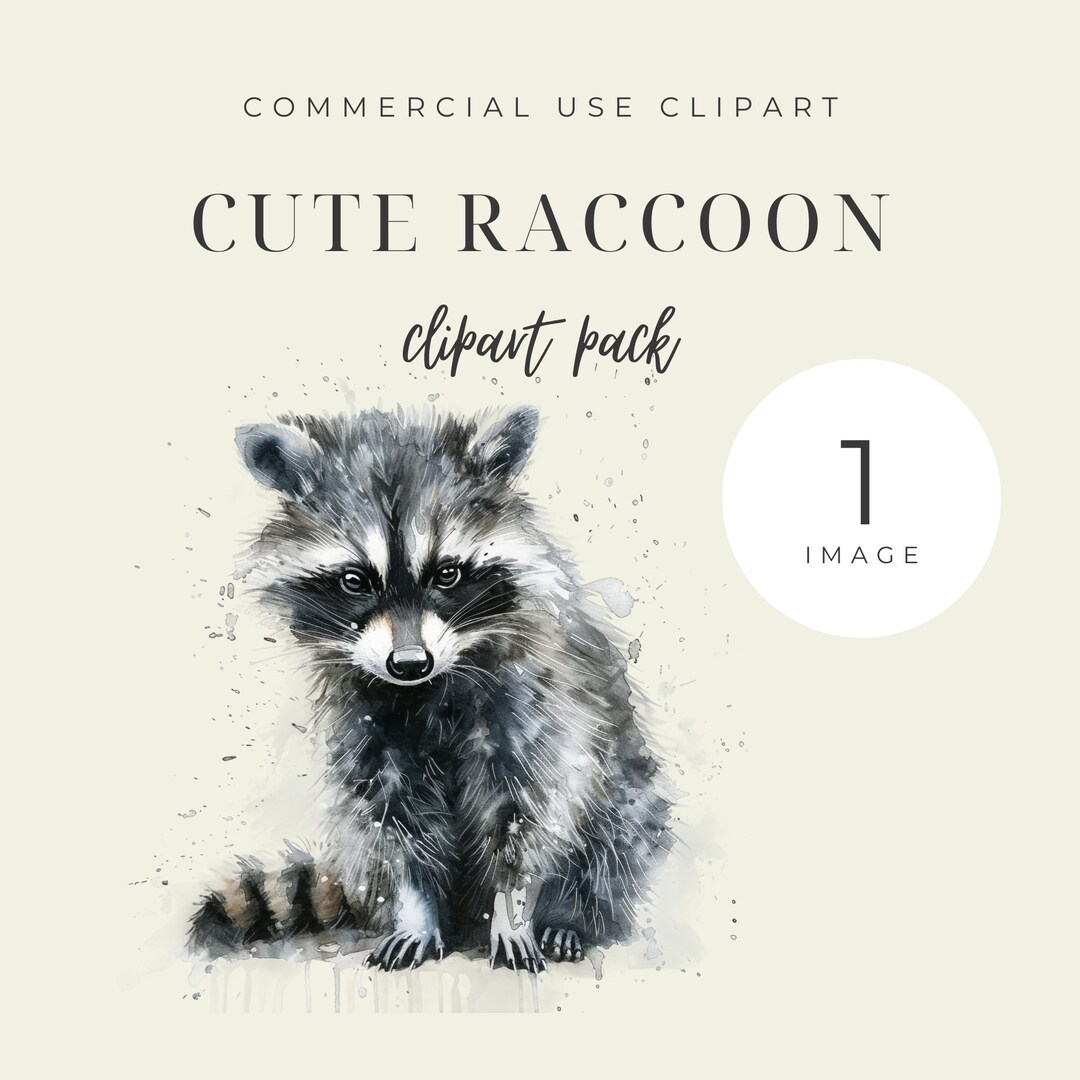 Cute Raccoon Single Clipart, Transparent PNG, Watercolour, Woodland ...