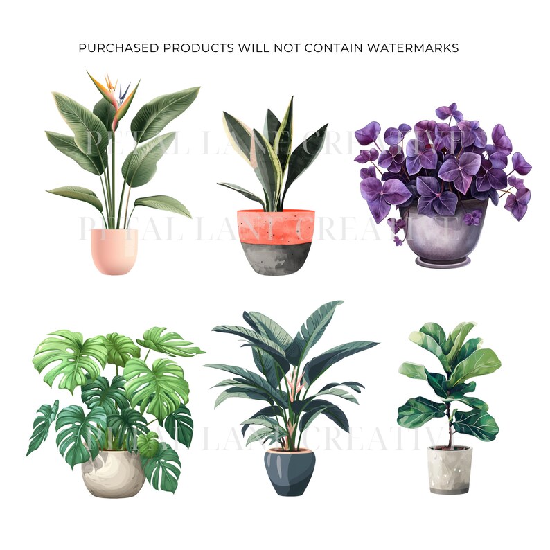 Pretty Plants Commercial Use Clipart, Great for Gardening Journals ...