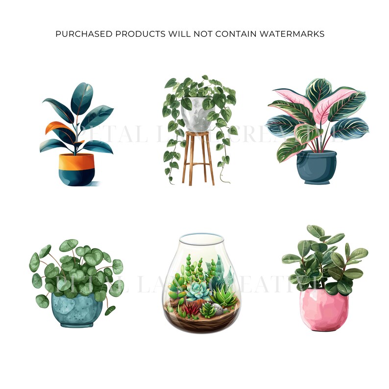 Pretty Plants Commercial Use Clipart, Great for Gardening Journals ...