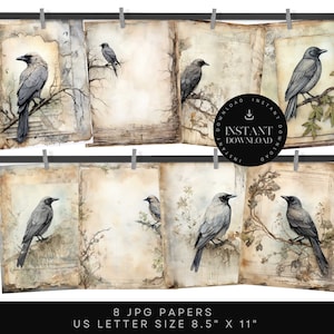 Birds Junk Journal, Vintage Birds Digital Journal Paper, Shabby Chic ...