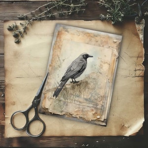Birds Junk Journal, Vintage Birds Digital Journal Paper, Shabby Chic ...