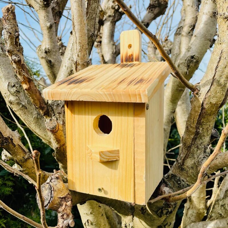 DARLUX Garden Flat Roof Nesting Box Breeding Place for Small Songbirds ...